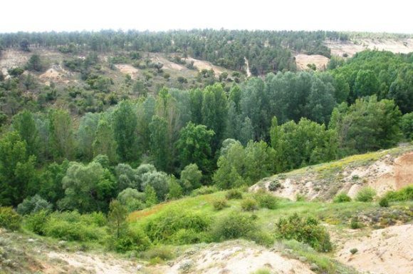 Pajares de Adaja (Ávila): Qué ver y dónde dormir