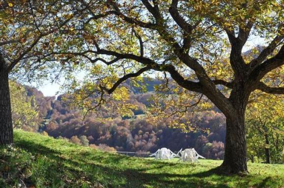 Vidrà (Girona): Qué ver y dónde dormir