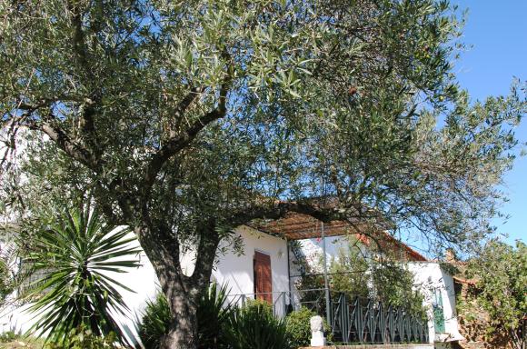 El Campillo (Huelva): Qué ver y dónde dormir
