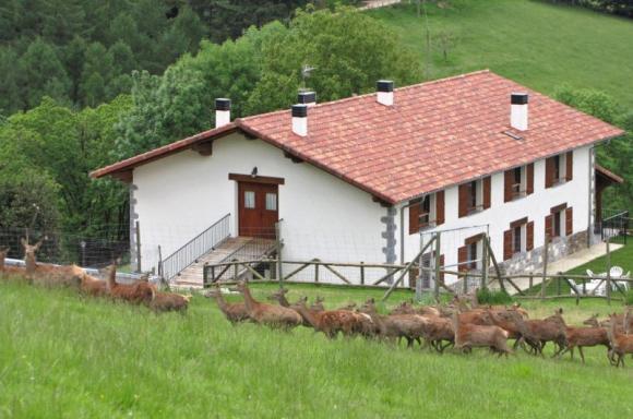 Leitza (Navarra): Qué ver y dónde dormir